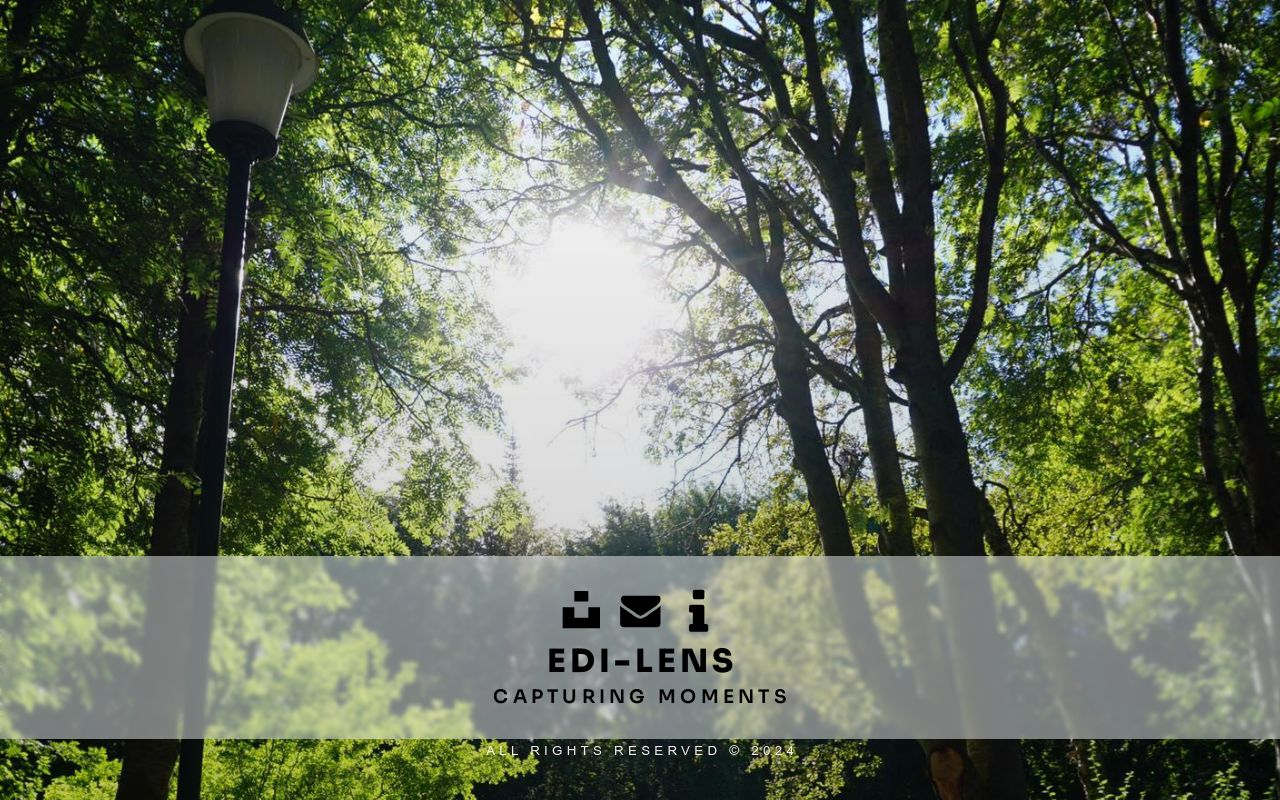 Edi-Lens Capturing Moments